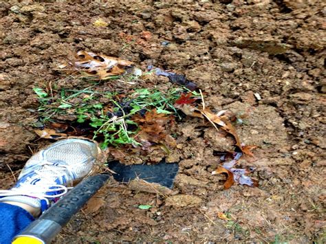 How To Amend Clay Soil