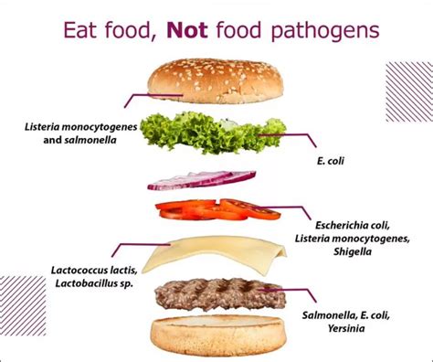 How To Detect The Pathogens In Your Food