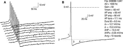 Figure 1 From Microcomputer Program For Automated Action Potential Waveform Analysis Semantic