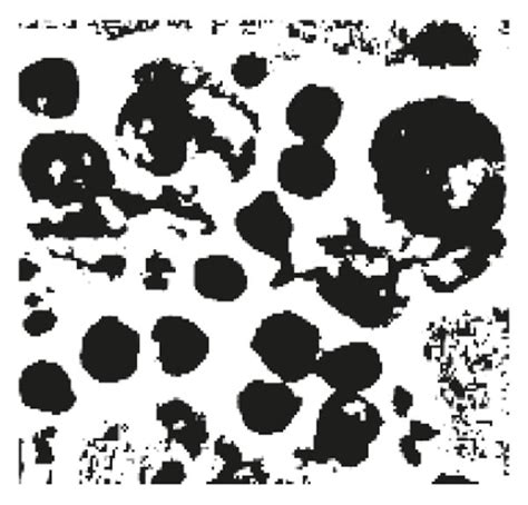 Visual Cell Nuclei Segmented Using Twelve Segmentation Methods A