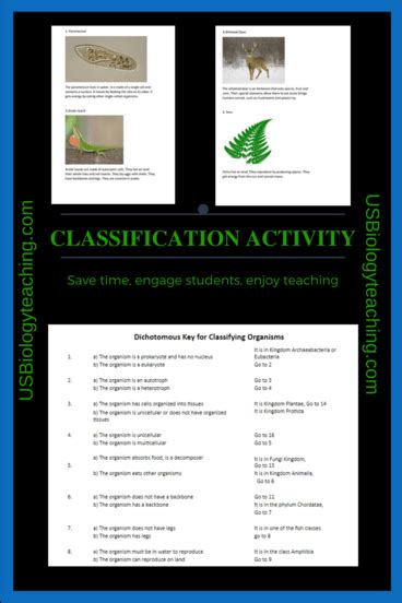 Classification Activity Classification Activity