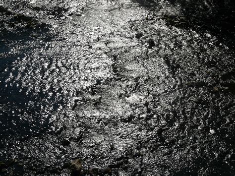 무료 이미지 나무 물 검정색과 흰색 햇빛 조직 강 아스팔트 흙 어둠 단색화 기분 흑백 사진