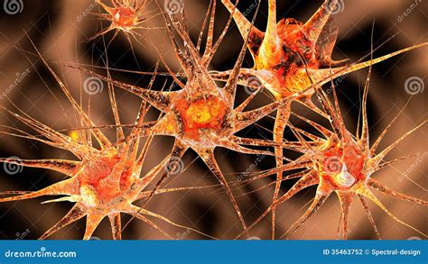 Neuronales Netz Stockfoto Bild Von Logik Verbinden 35463752