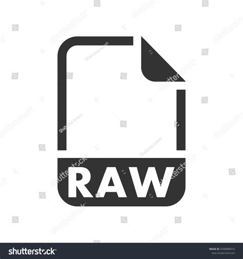 Raw File Format Icon Vector Graphics Stock Vector Royalty Free Shutterstock