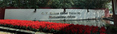 Ed Cell C V Raman Global University