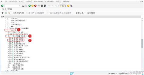 Mm模块 专题方案 采购订单海关清关费、物流运输费和其他杂费 拷贝 固定金额 条件类型frb1或frb2 如何进入财务指定成本科目 采购订单抬头级别录入并进行行项目级别自动分摊 Me21n