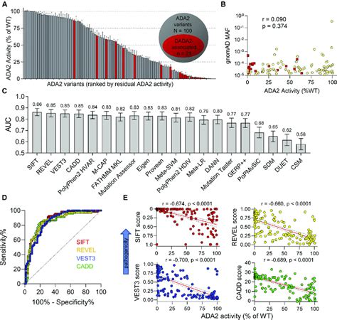 Functional And In Silico Analysis Of Missense Ada2 Variants In Gnomad Download Scientific