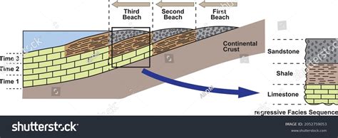 Marine Regression Over 7 Royalty Free Licensable Stock Vectors