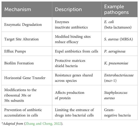 Frontiers A One Health Perspective On Multidrug Resistant Bacterial