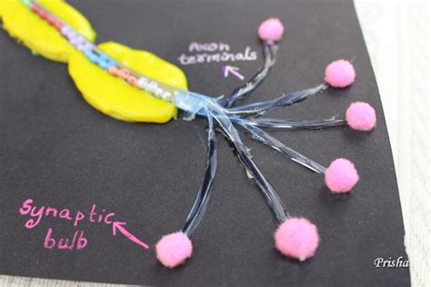 Neuron Project Ideas