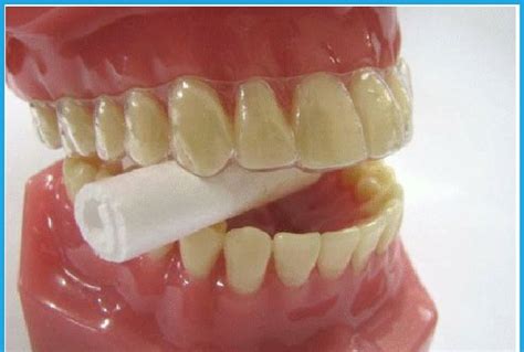 Chewies White ATS Ortho