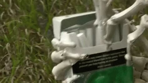 Skeleton Waiting S