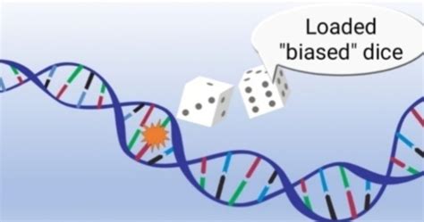 Mutation Bias Shapes The Spectrum Of Adaptive Substitutions Unveiling The Hidden Sculptor Of