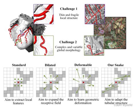 基于yolov8模型最新改进优化的果蔬检测系统（含ui界面，python代码，数据集，模型已训练，cpugpu直接上手测试运行。优化：加入cabm、eca等注意力机制；优化模型结构；改进可