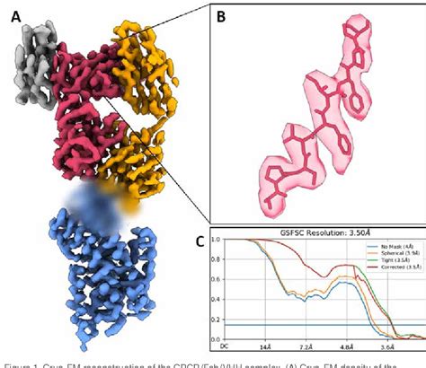 [pdf] De Novo Inactive Gpcr Cryo Em Structure And Epitope Mapping