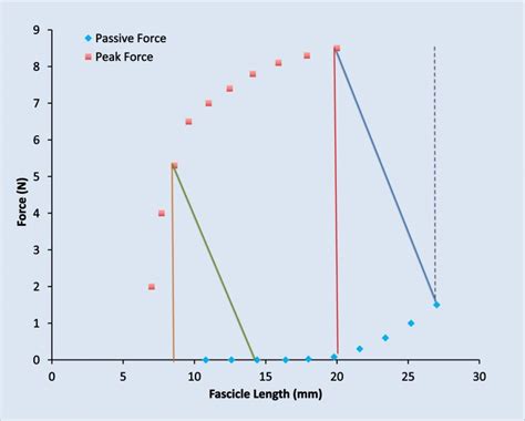 Chapter 5 Skeletal Muscle Contraction Open Textbook Of Exercise Physiology