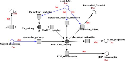 Submodels In The Hierarchical Structure A Level 2 Intercellular Download Scientific Diagram
