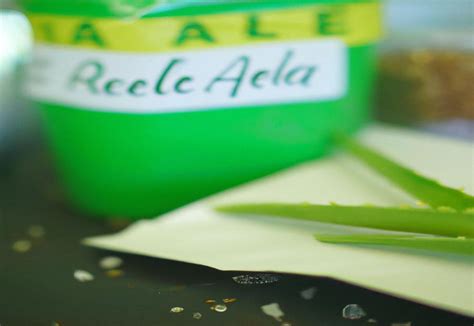 How To Make Aloe Vera Fertilizer At Home Allotinabox