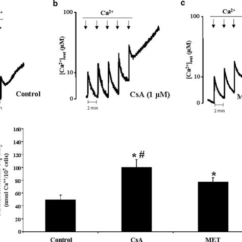 Effects Of Csa And Metformin On Ptp Opening In Permeabilized Neurons Download Scientific