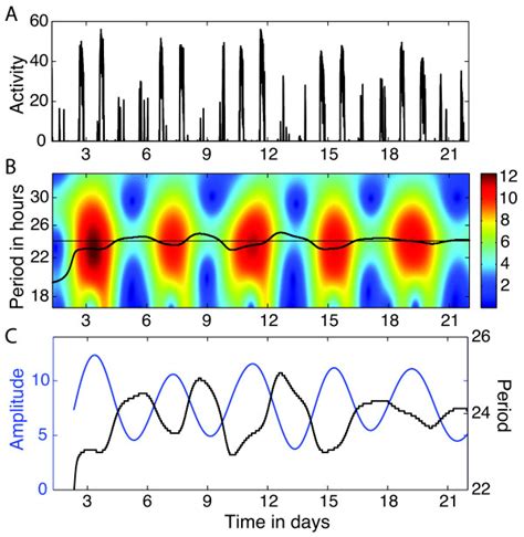 Wavelet Analysis Of Circadian And Ultradian Behavioral Rhythms