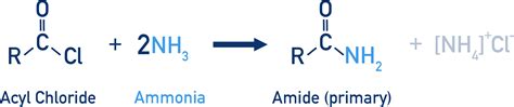 34 1 Primary And Secondary Amines Cie A Level Chemistry