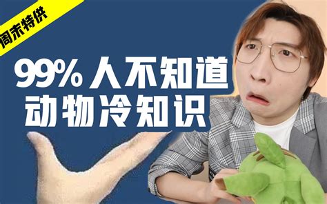 鸡会游泳动物体检你不知道的动物冷知识 哔哩哔哩