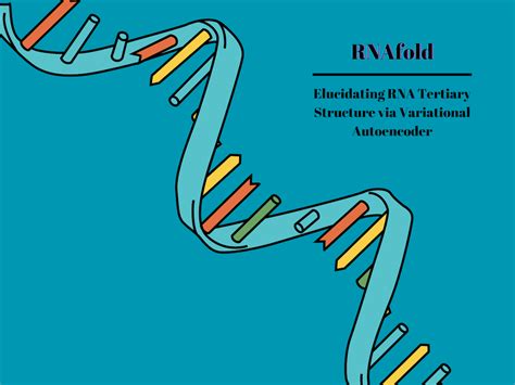 rnafold leveraging variational autoencoders for accurate rna tertiary