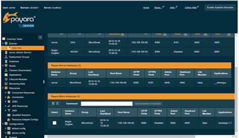How To Join Payara Micro Instances To The Data Grid In The Admin Console