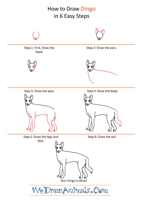 How To Draw A Cartoon Dingo