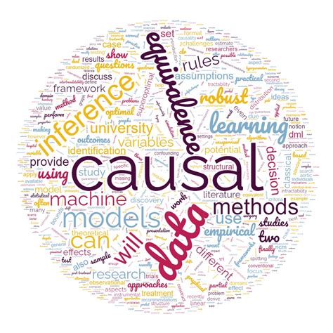 Causal Inference Workshop Andreas Sauter