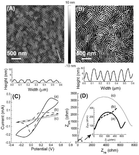 Figure 1 From Block Copolymer Patterns As Templates For The Electrocatalyzed Deposition Of