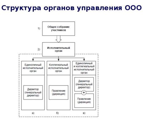 Схема организационной структуры управления ооо лента