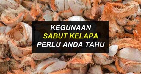 Ini Kegunaan Sabut Kelapa Yang Perlu Anda Tahu