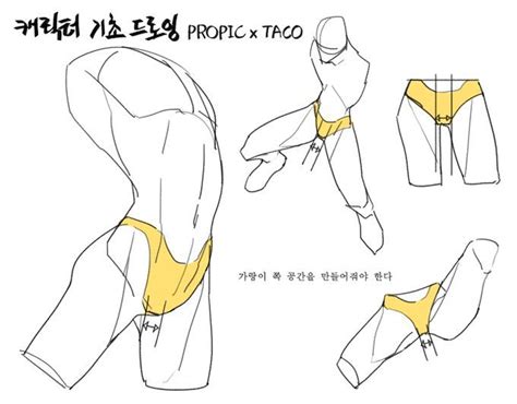 19 타코작가taco1704 트위터 Tutorial De Anatomía Arte De Anatomía Humana Bocetos