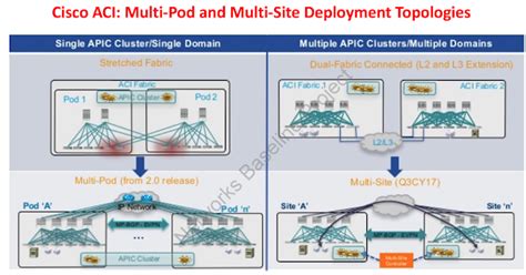 Difference Between Cisco ACI Multi Pod Vs Cisco ACI Multi Site The Network DNA