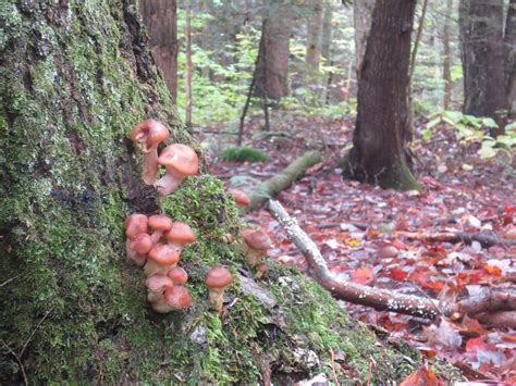 Int Ext Int Ext Added A New Photo