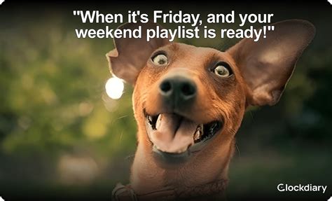 50 Funniest Friday Memes To Instantly Spice Up Your Weekend