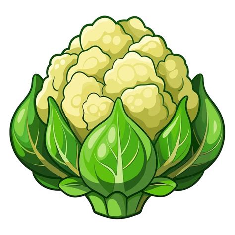 Cauliflower Vector Design Premium Ai Generated Vector