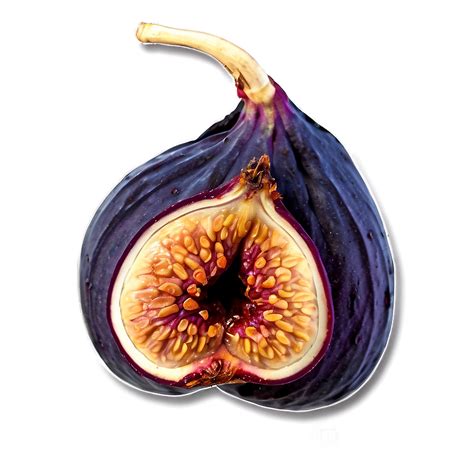 Download Sundried Fig Pack Png 10