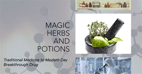 Bridging Tradition And Science The Rigorous Journey Of Tu Youyous Antimalarial Breakthrough