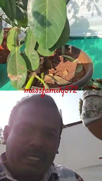 இந்த விவசாயிக்கு ஒரு லைக் போட்டு சப்ஸ்கிரைப் செய்யுங்கள் Youtube