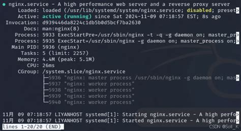 在 Debian 系统上安装和配置 Nginx 服务器debian安装nginx Csdn博客 在 Debian 系统上安装和配置 Nginx 服务器debian安装nginx Csdn博客
