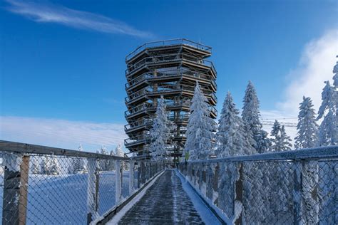 The Treetop Walk Bachledka Ski Sun