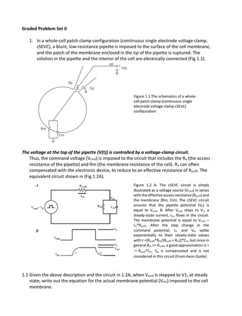 Solved In A Whole Cell Patch Clamp Configuration Continuous