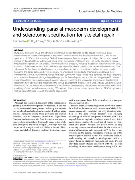 Pdf Understanding Paraxial Mesoderm Development And Sclerotome Specification For Skeletal Repair