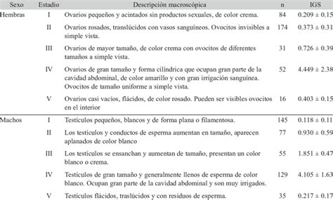 Sexual Maturity Scale With Relation To The Average Value Of The Gsi