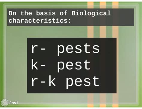 classification of insect pest