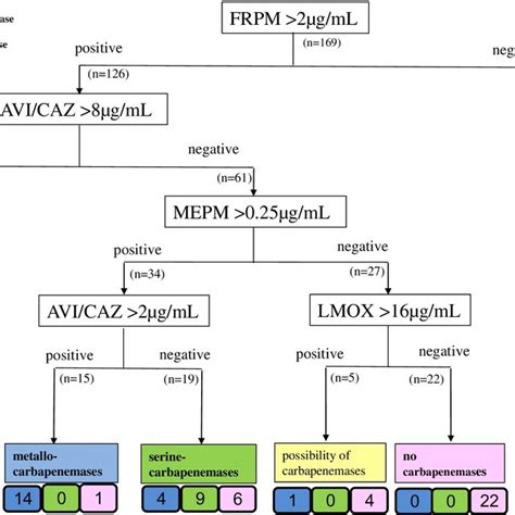 Algorithm For Carbapenemase Producing Enterobacterales Cpe Screening