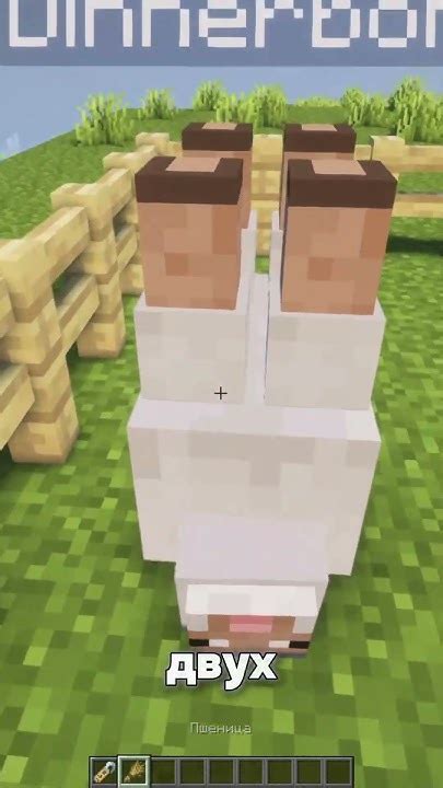 БИРКА В МАЙНРКАФТЕ РАБОТАЕТ НЕ ВСЕГДА КАК НУЖНО Shorts Youtube