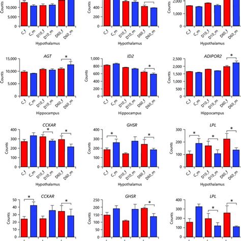 Graphical Representation Of The Functional Enrichment Analysis Of Genes